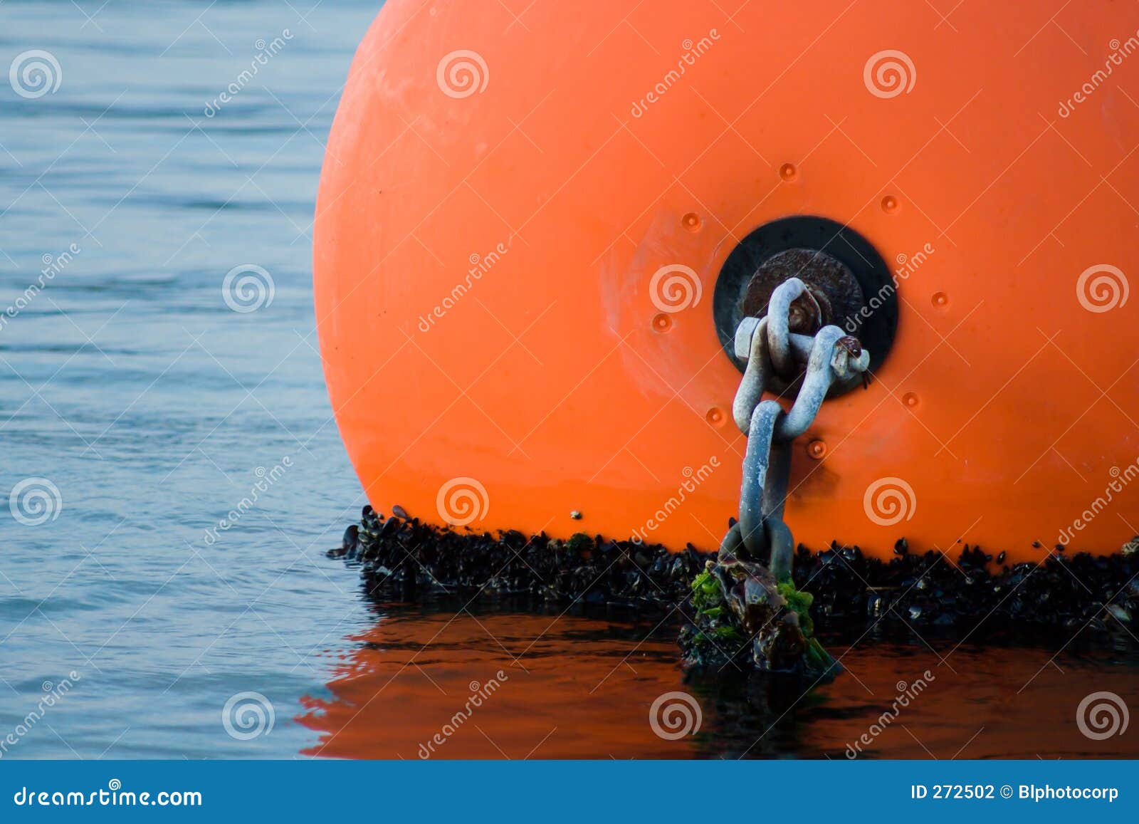 Orange Buoy With Chain Picture. Image: 272502