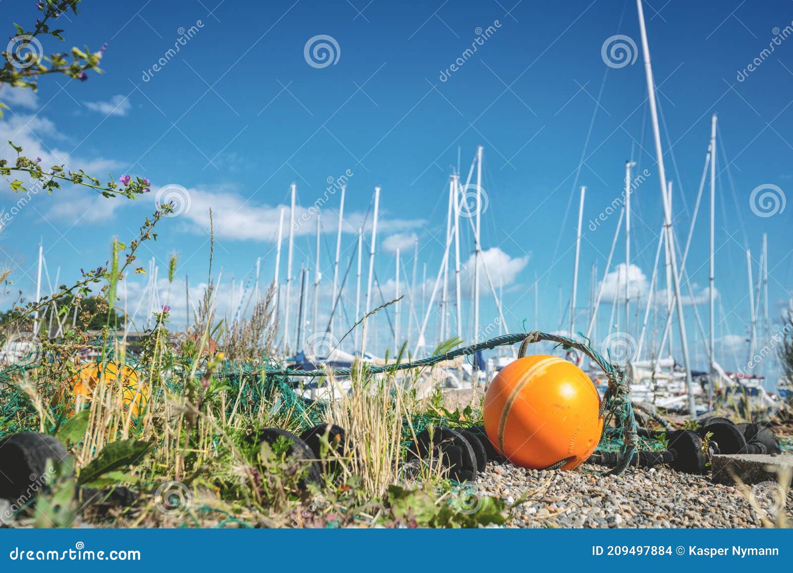Orange buoye on land stock photo. Image of maritime - 209497884
