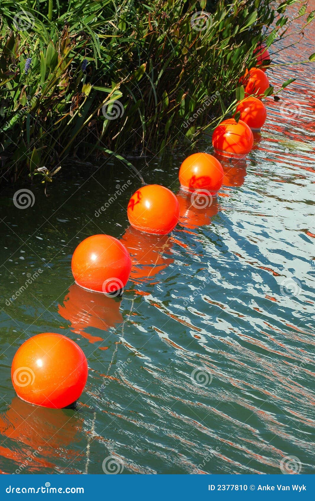 Orange buoys stock photo. Image of lakes, group, leaves - 2377810