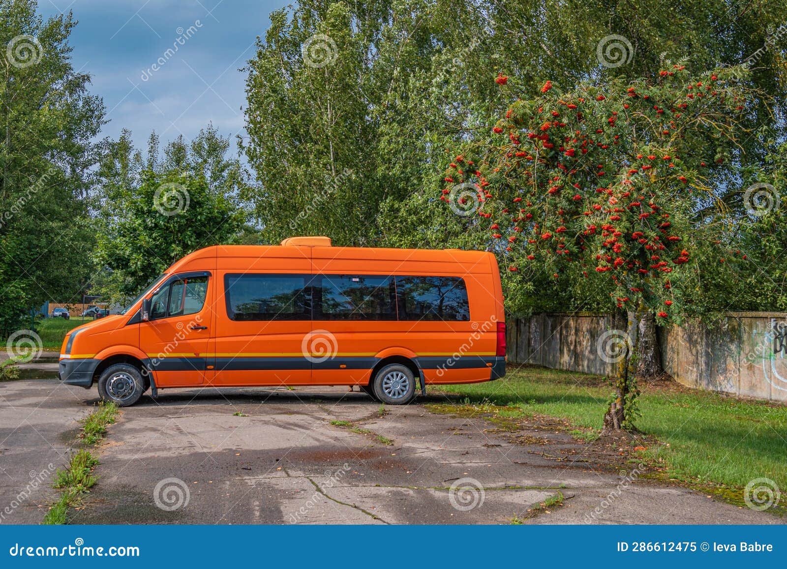 Orange Bus Stands Under Orange Rowan Tree Stock Image - Image of ...