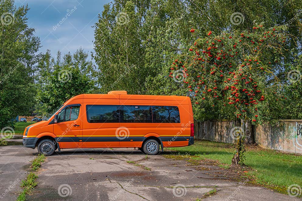 Orange Bus Stands Under Orange Rowan Tree Stock Image - Image of ...