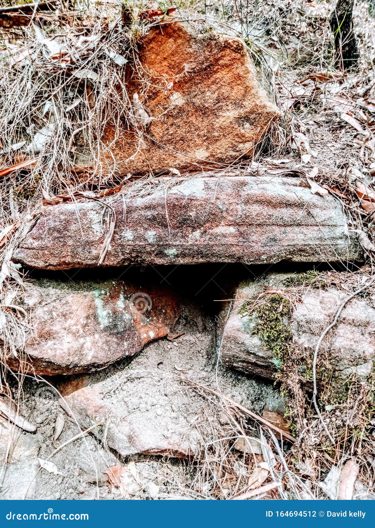 Orange Bush Rocks Hidey-hole Stock Photo - Image of bush, hole: 164694512