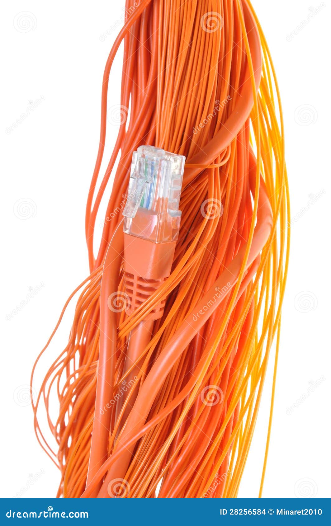 Orange Cables and Network Plug Stock Photo - Image of networking, cable ...