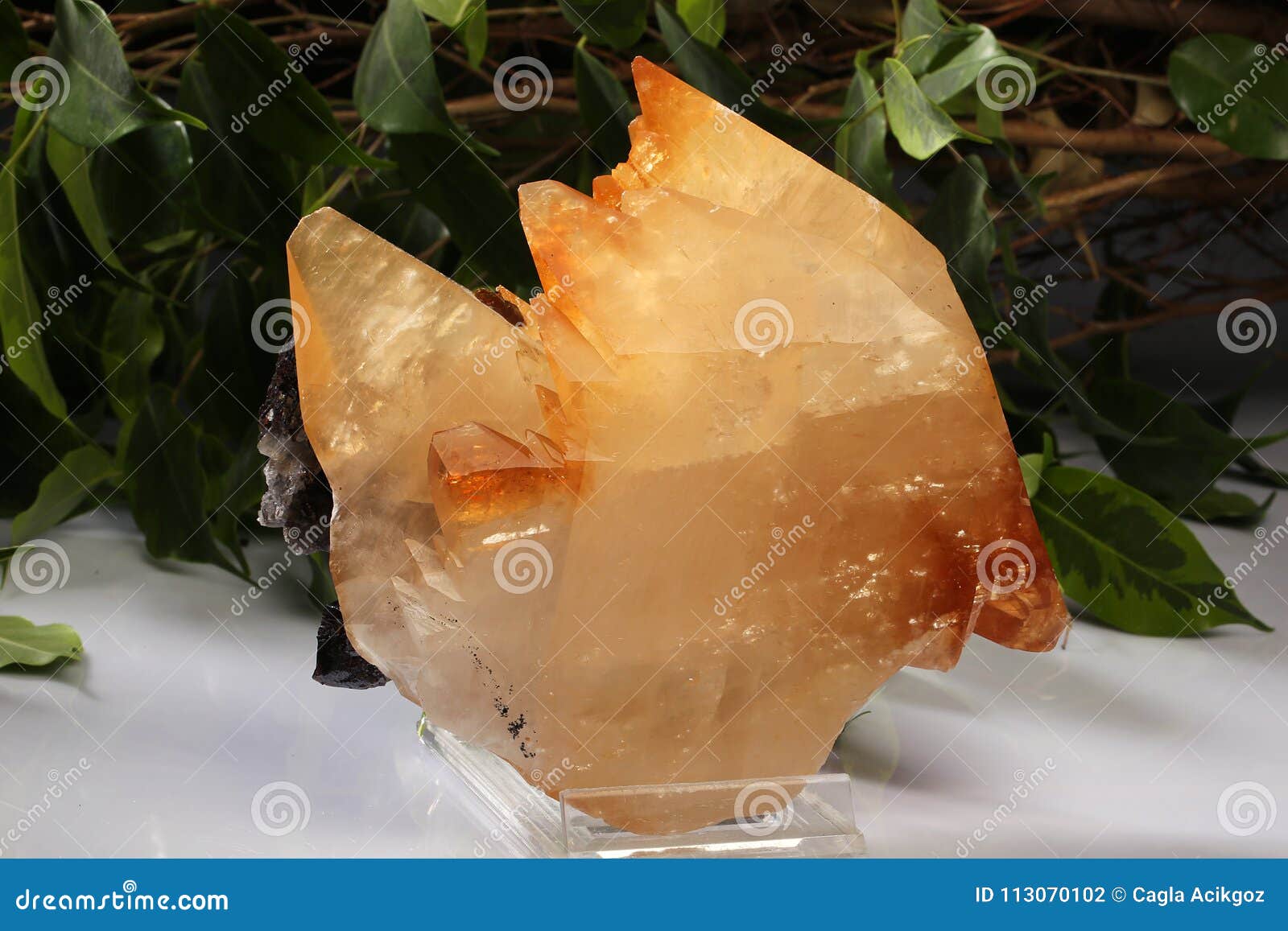 Orange Calcite from Mexico Geology Rock Stone Stock Photo - Image of ...