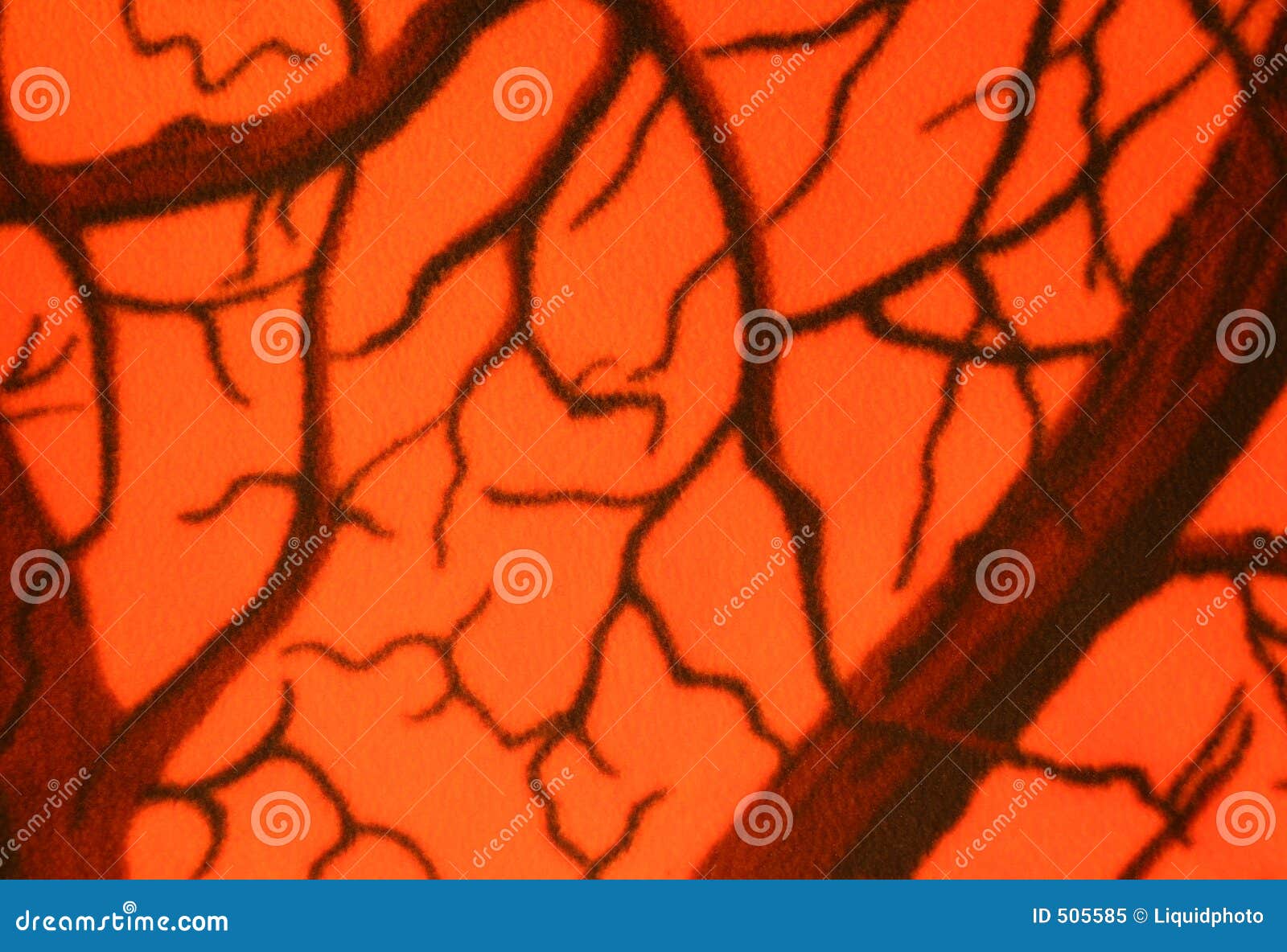 Blaze Orange Camo Background