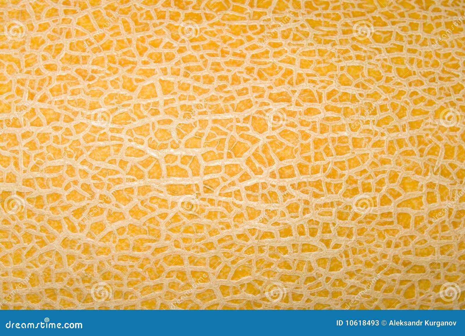 Melon Skin Texture Royalty-Free Stock Image | CartoonDealer.com #68236810