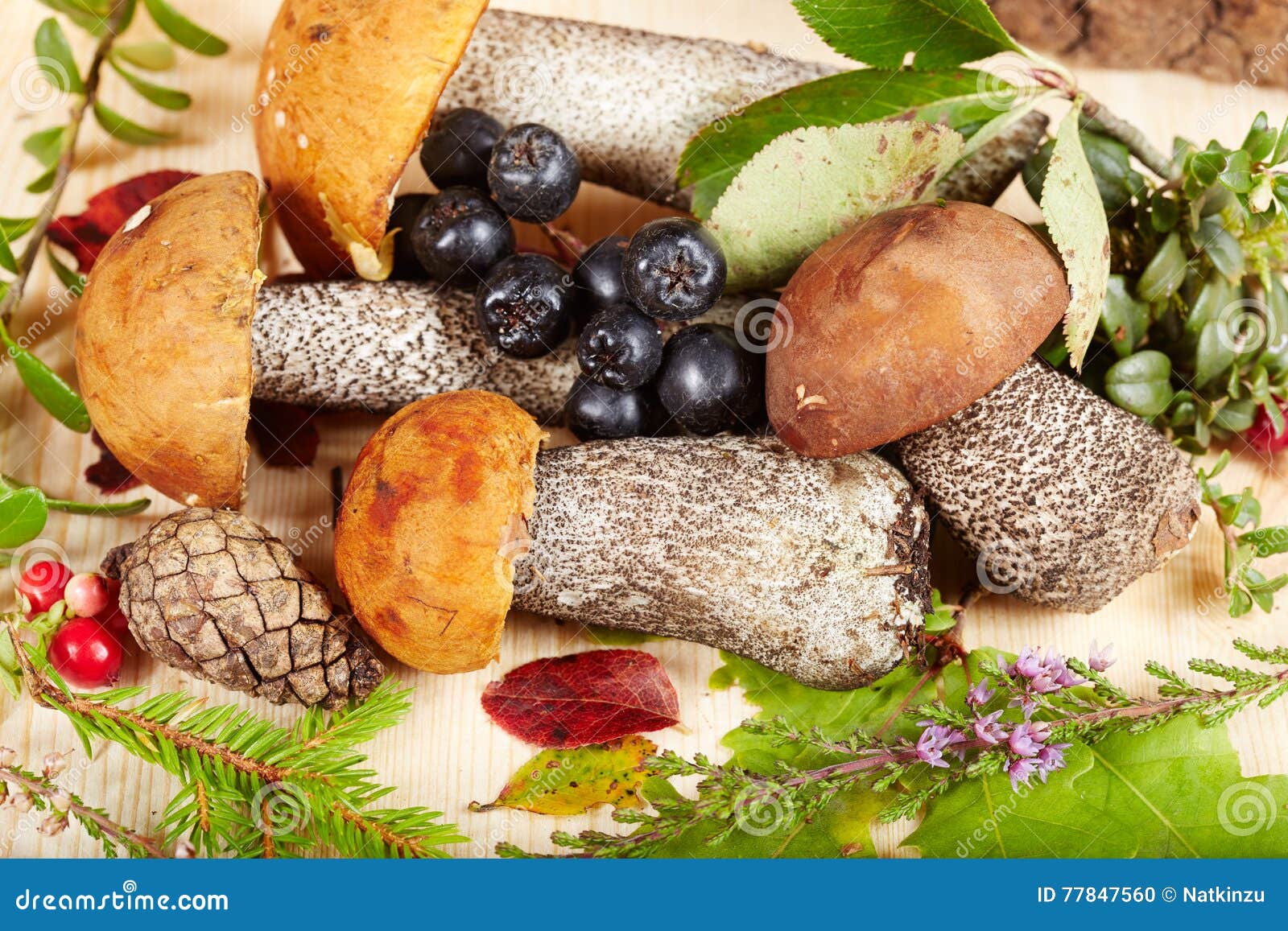 Orange-cap Boletus Mushrooms Stock Photo - Image of edible, mushrooming ...