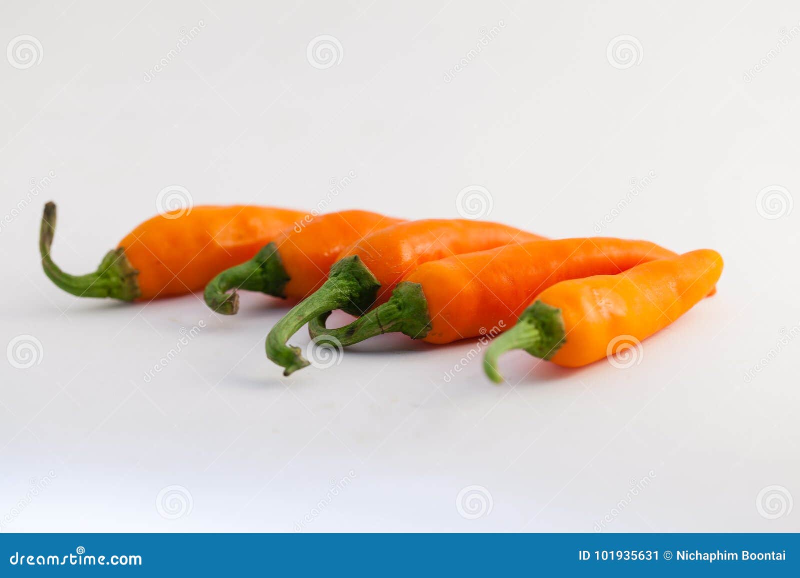 Orange Capsicum on a White Background Stock Image - Image of kitchen ...