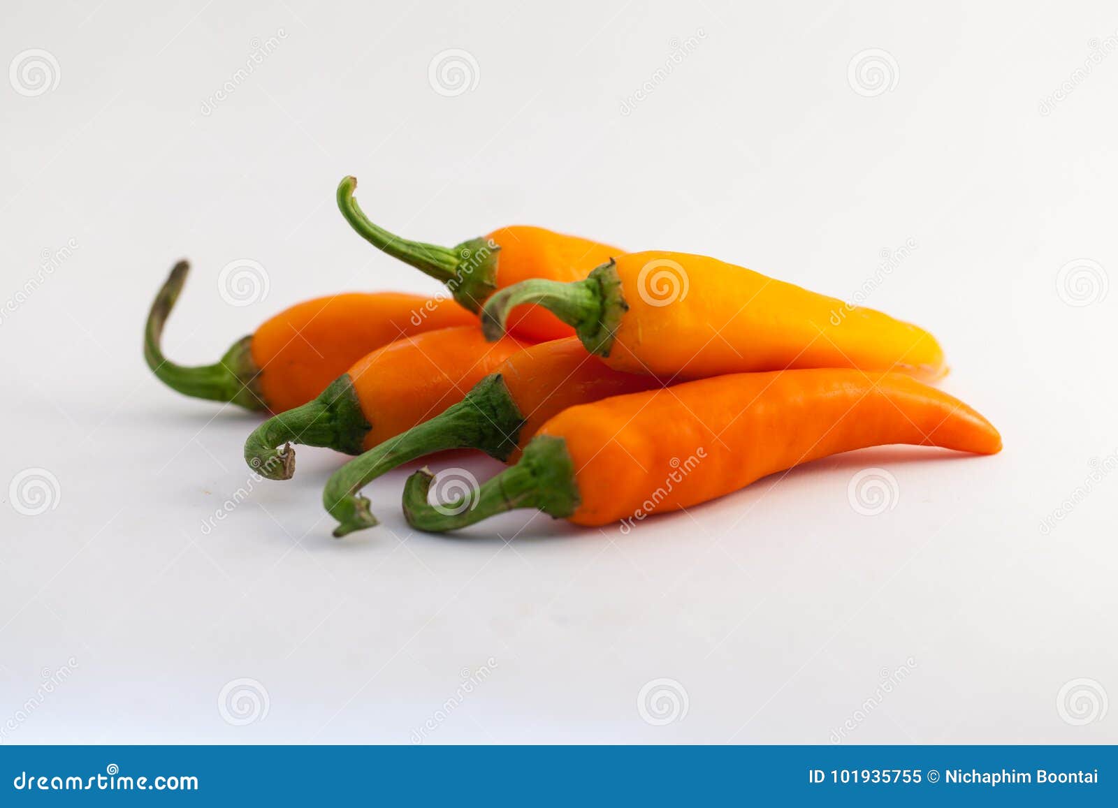 Orange Capsicum on a White Background Stock Image - Image of kitchen ...