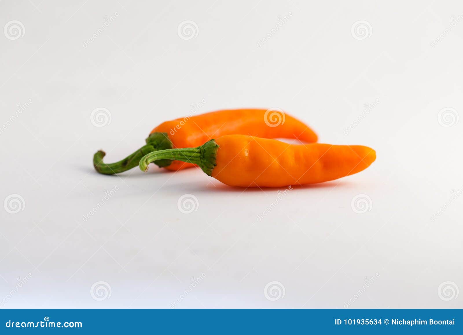 Orange Capsicum on a White Background Stock Photo - Image of organic ...