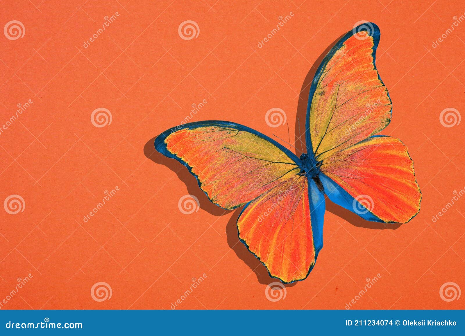 Orange Cardboard and Orange Morpho Butterfly. Orange Paper Texture ...