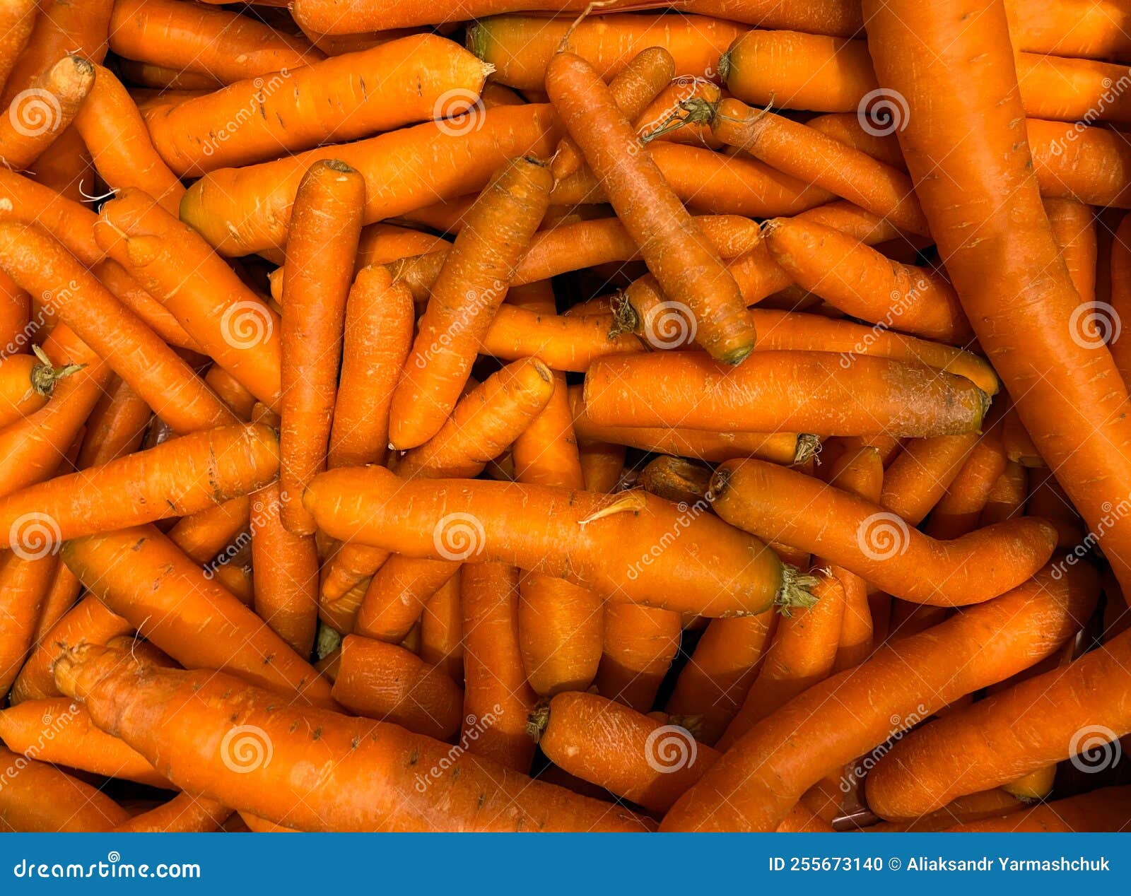 Orange Carrot Background Close-up. Carrot Texture Stock Photo - Image ...