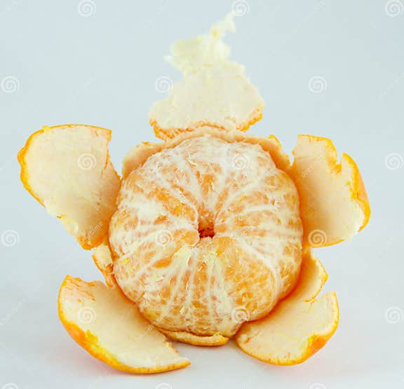 Orange casing stock image. Image of fruit, macro, fresh - 28466259
