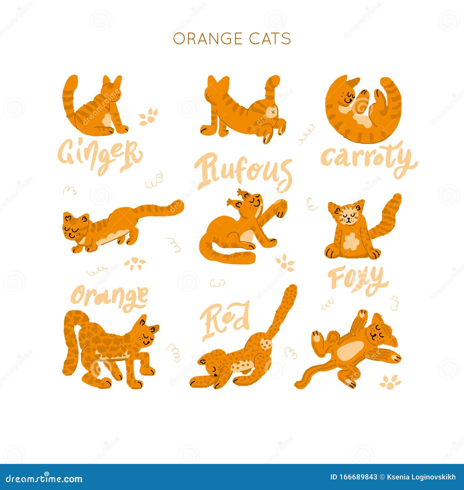 Set of Orange Cats. Vector stock illustration. Illustration of isolated ...