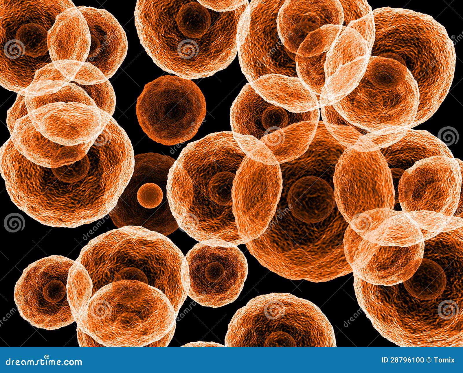 Orange Cells Stock Photo - Image: 28796100
