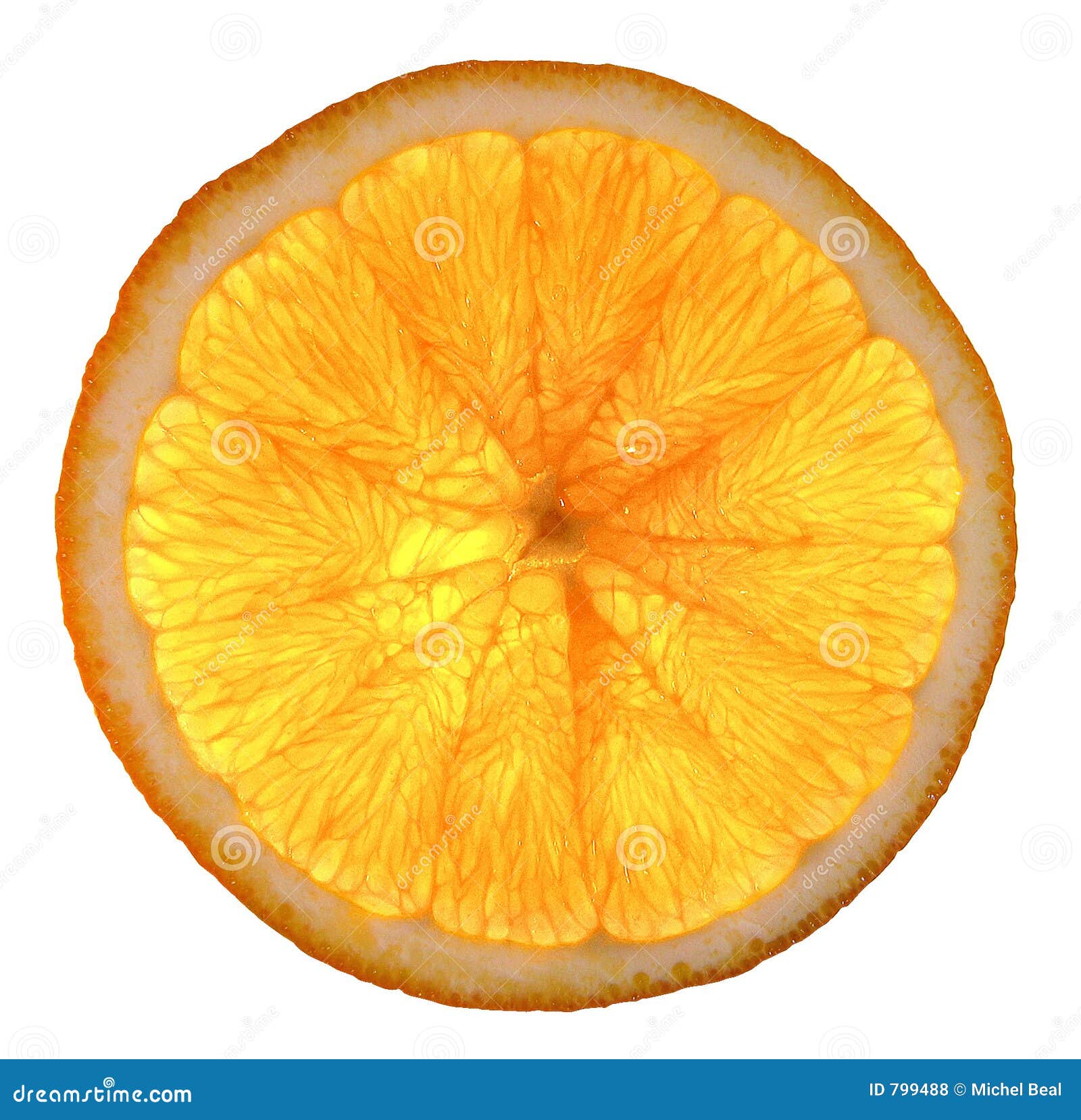 Orange cells stock photo. Image of juice, orange, lime - 799488