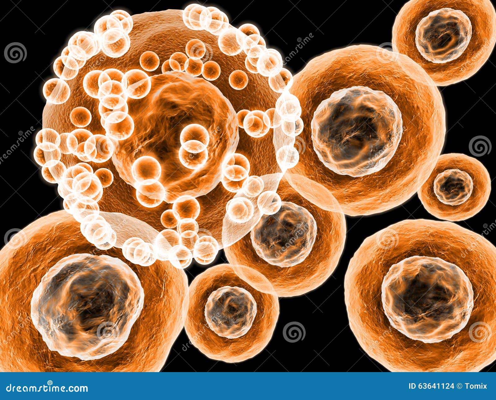 Orange cells stock illustration. Illustration of health - 63641124