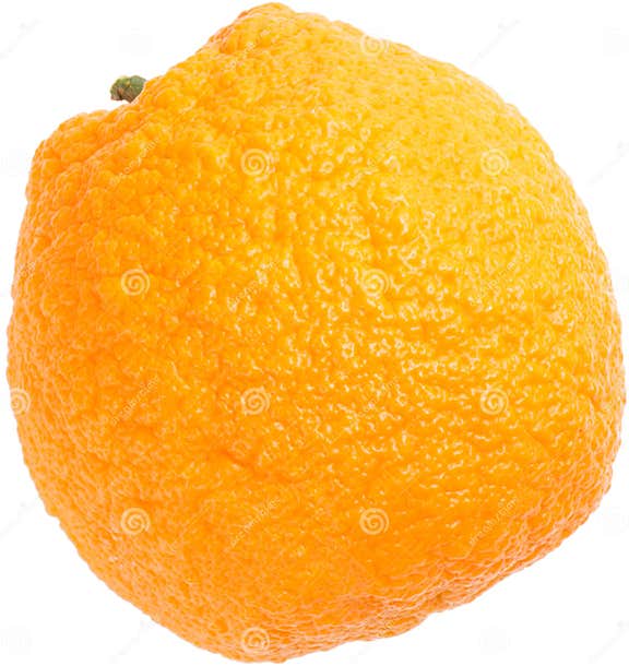 Orange cellulite skin stock photo. Image of mandarin - 37563596