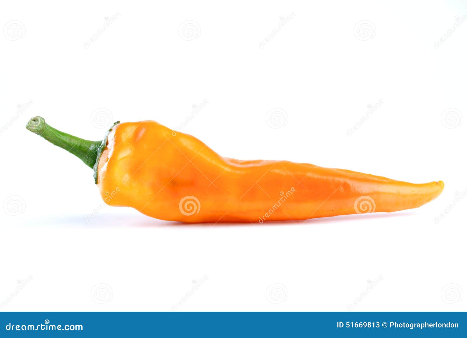 Orange Chilli stock image. Image of color, heat, group - 51669813
