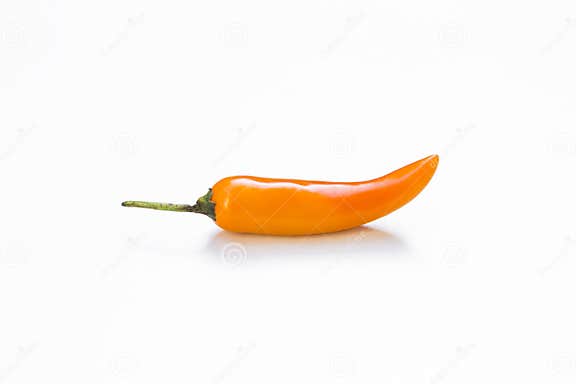 Orange Chilli Isolate on White Background Stock Image - Image of ...