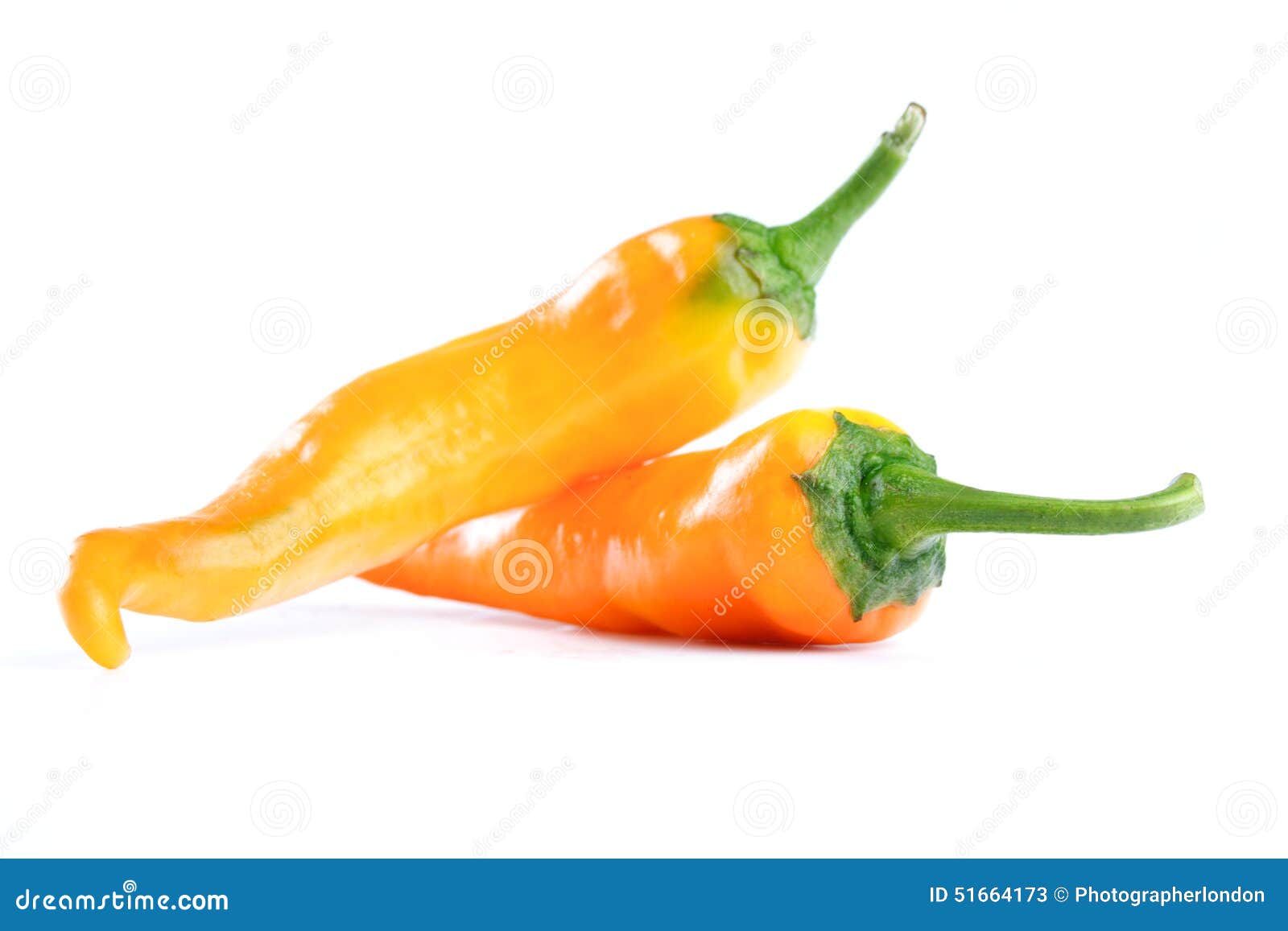 Orange Chilli stock image. Image of fresh, jalapeno, cayenne - 51664173