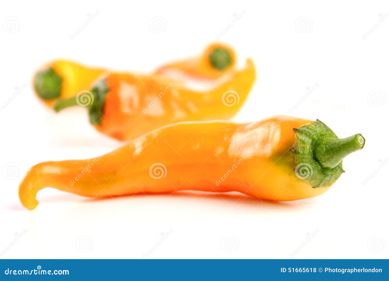 Orange Chilli stock photo. Image of organic, burning - 51665618