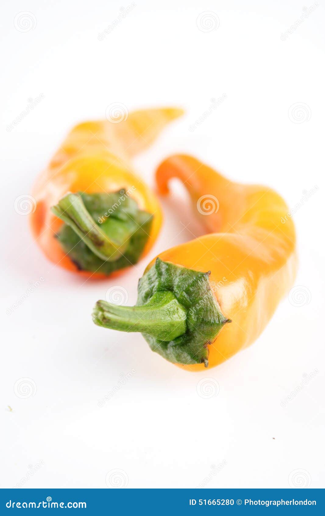 Orange Chilli stock photo. Image of color, cooking, macro - 51665280