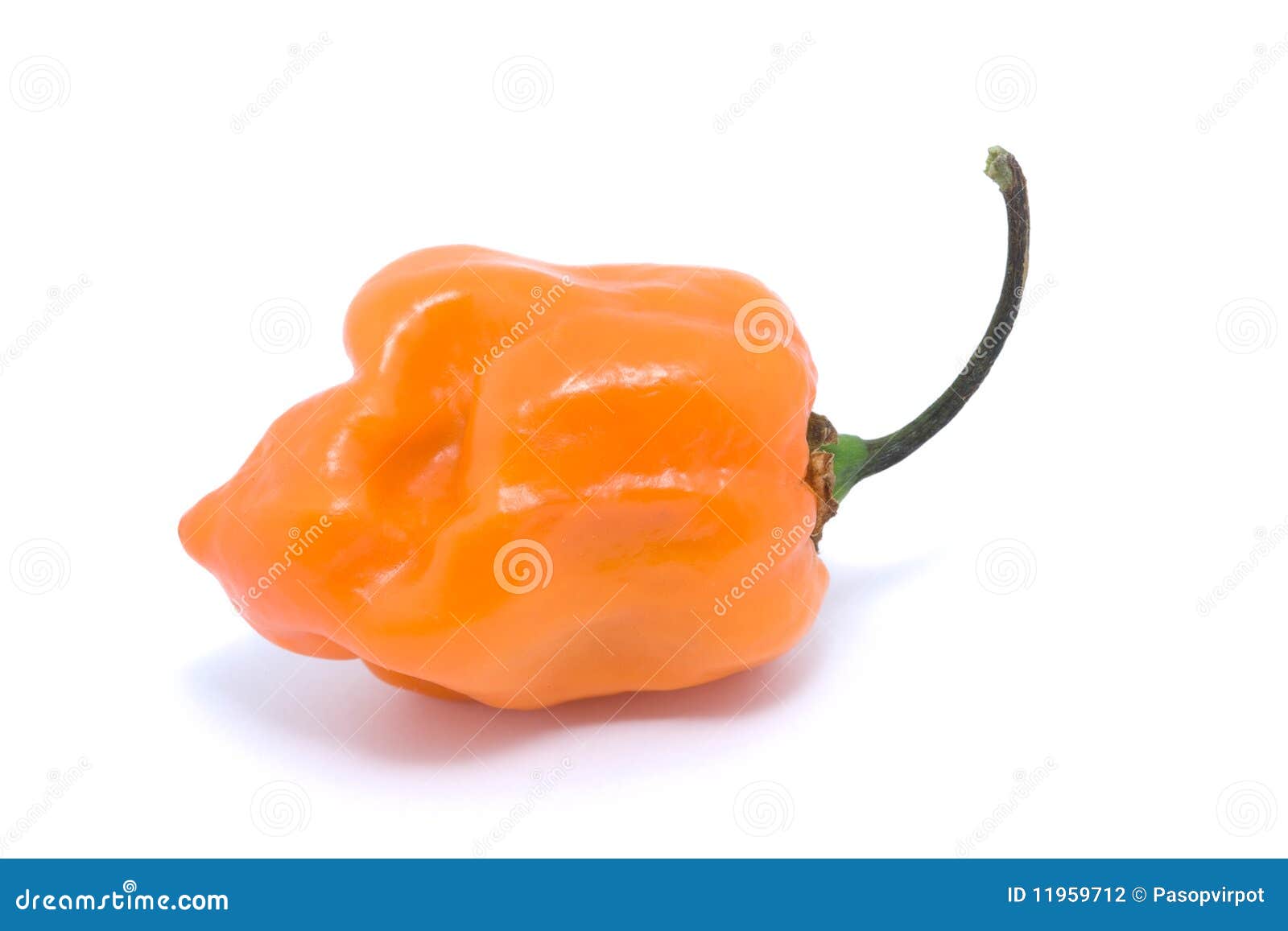 Orange Chilli Stock Images - Download 6,405 Photos
