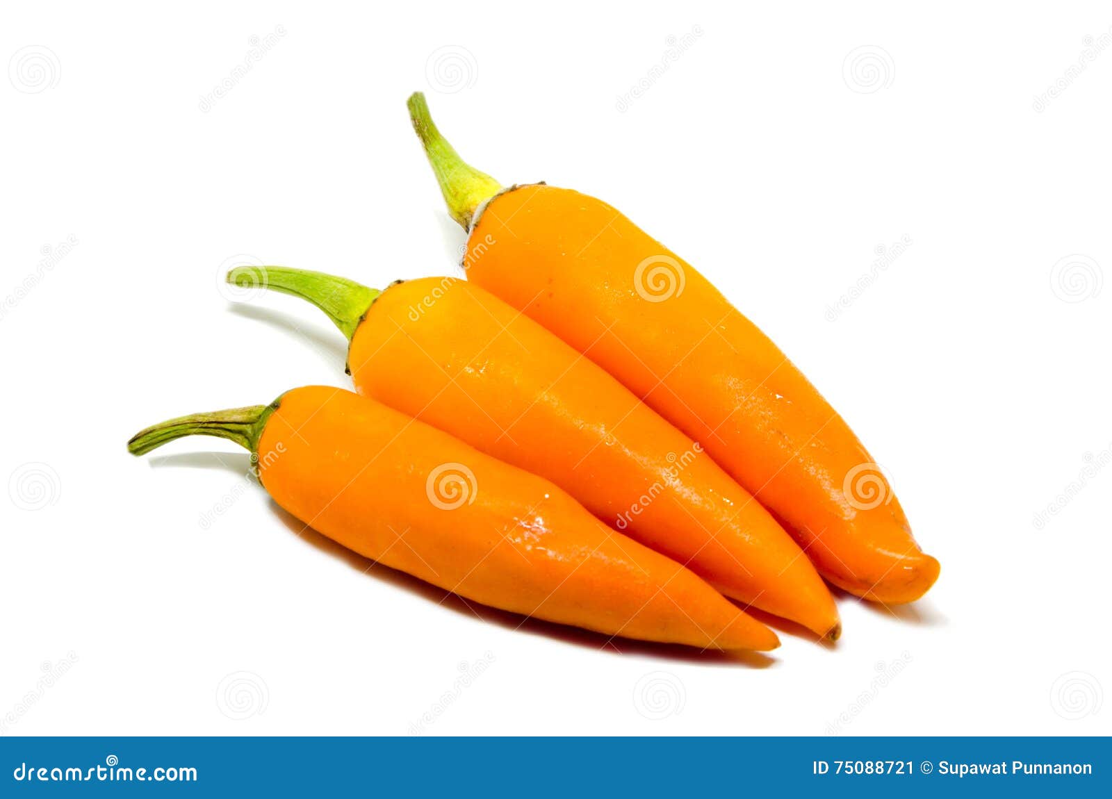 Orange chilli stock image. Image of organic, object, color - 75088721