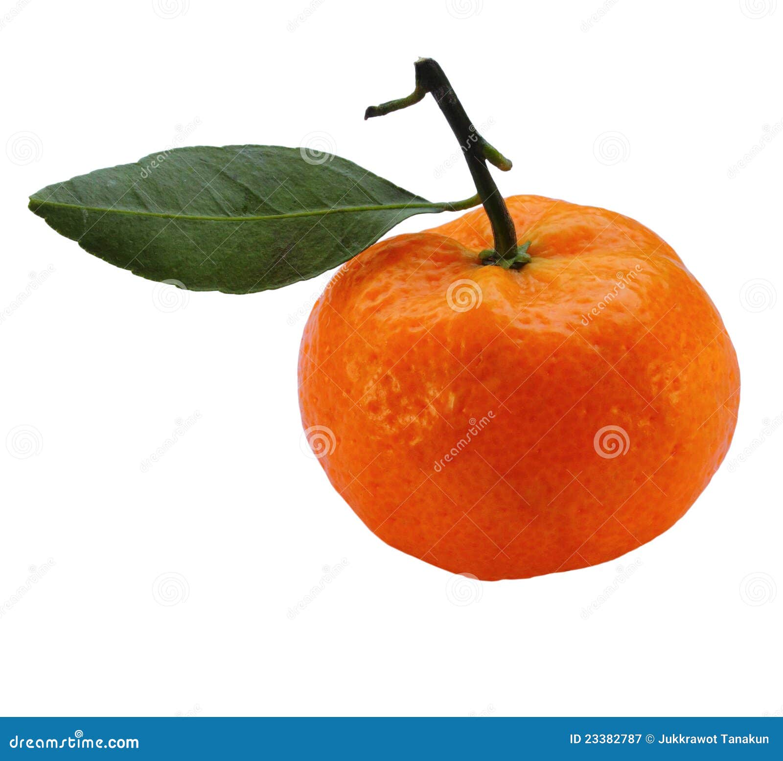 Orange of China. stock image. Image of organic, ripe - 23382787