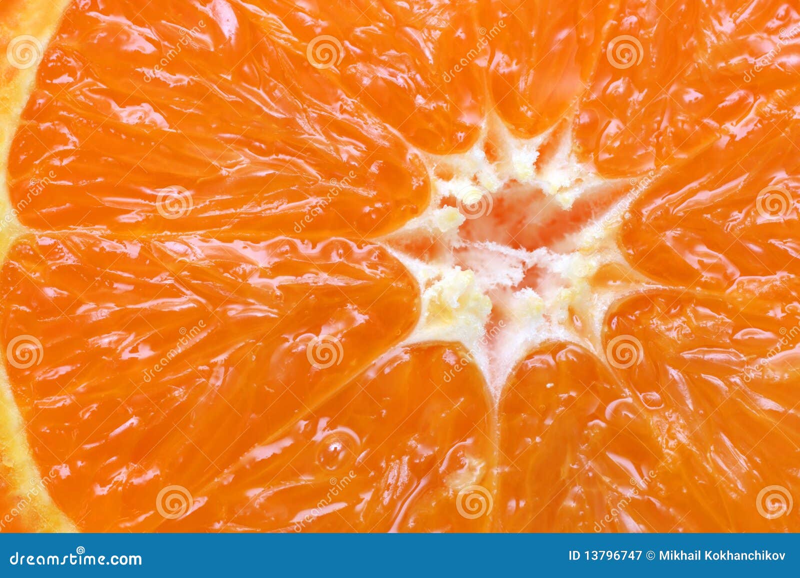 Orange Citrus Fruit Section Stock Image - Image of circle, freshness ...