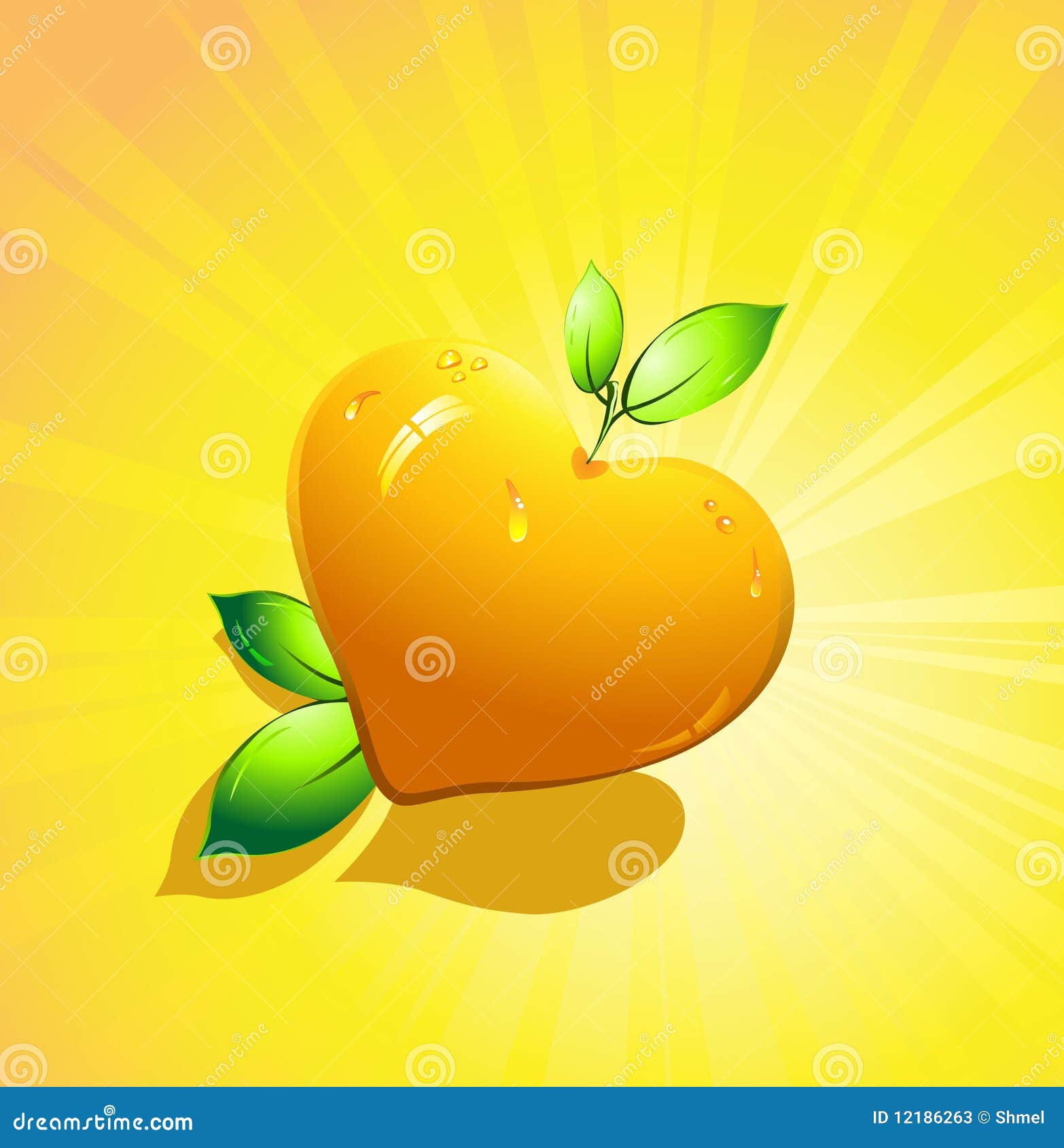 Orange Citrus Fruits in the Form of Heart Stock Vector - Illustration ...