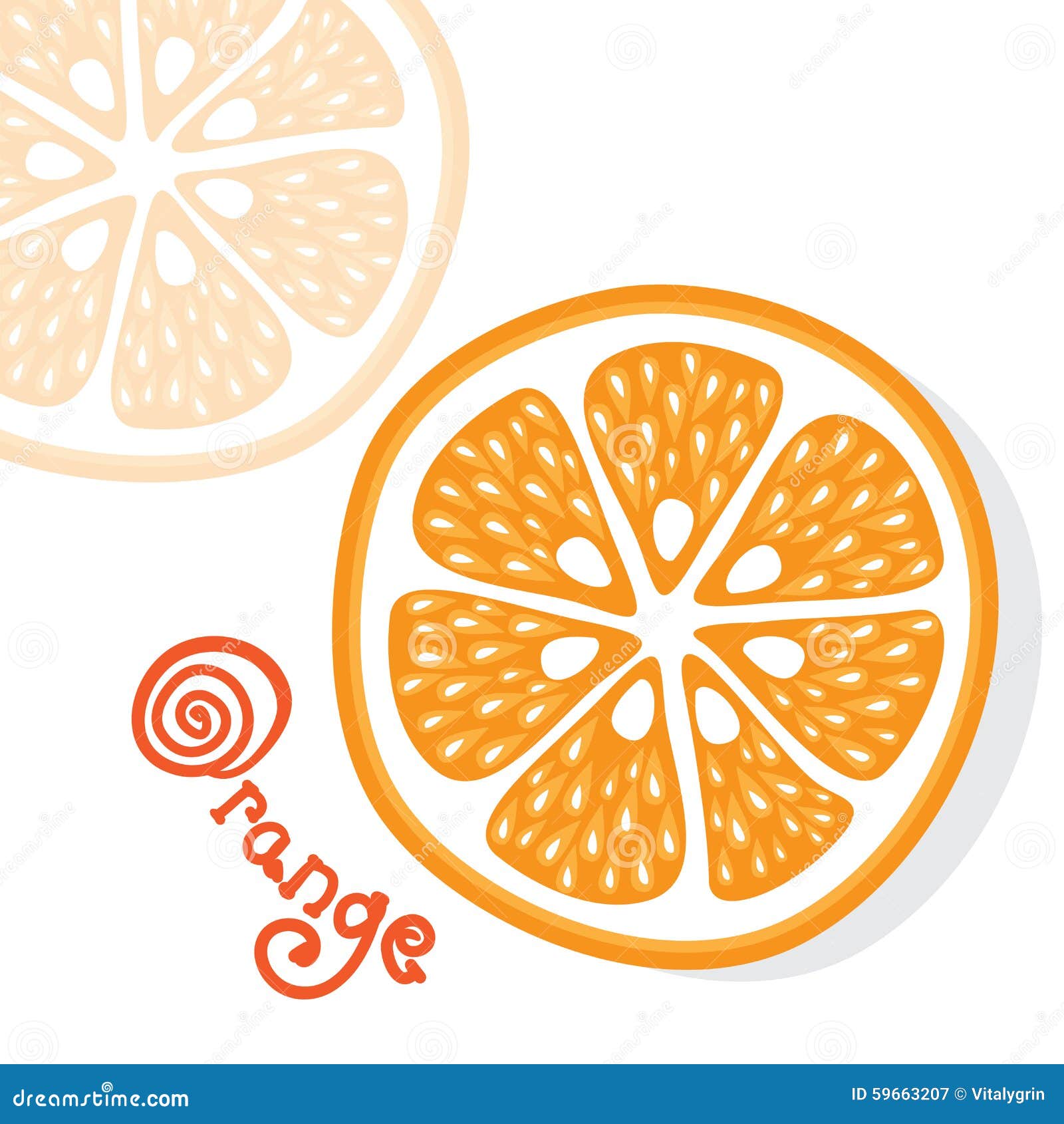 Orange Citrus Fruits Vector Stock Vector - Illustration of food, fruit ...