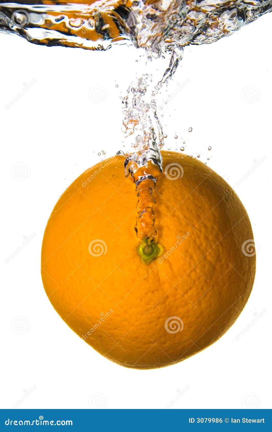Orange Citrus - Water Fruit Stock Photo - Image of citrus, fruit: 3079986