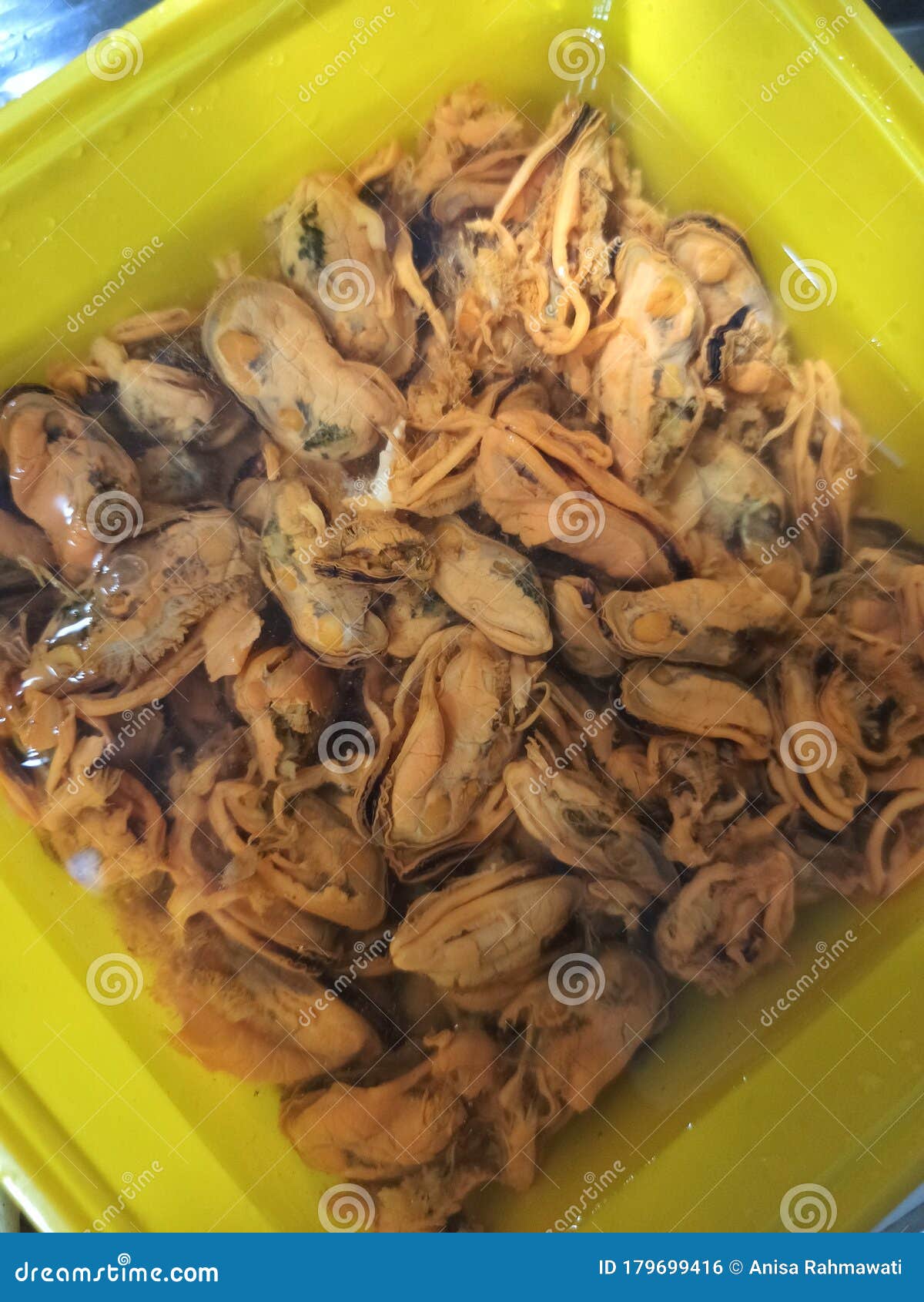 The Orange Clams stock photo. Image of shell, yellow - 179699416