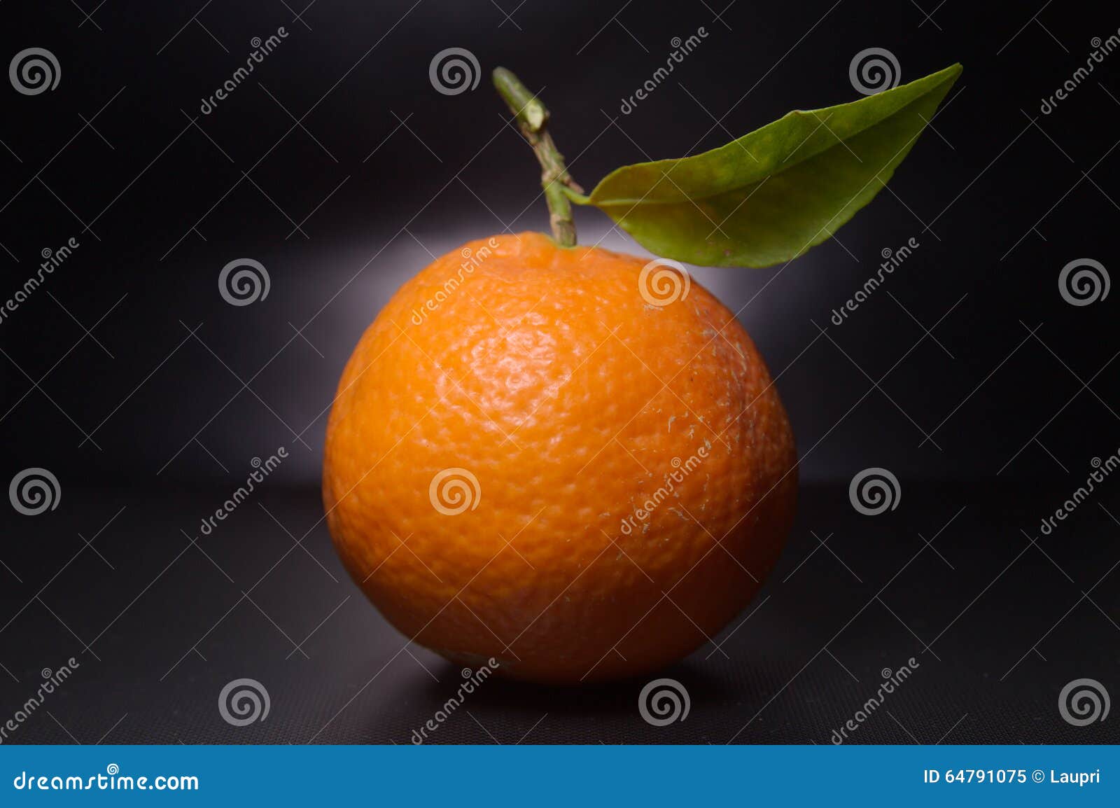 Orange clementine stock image. Image of branch, barnch - 64791075