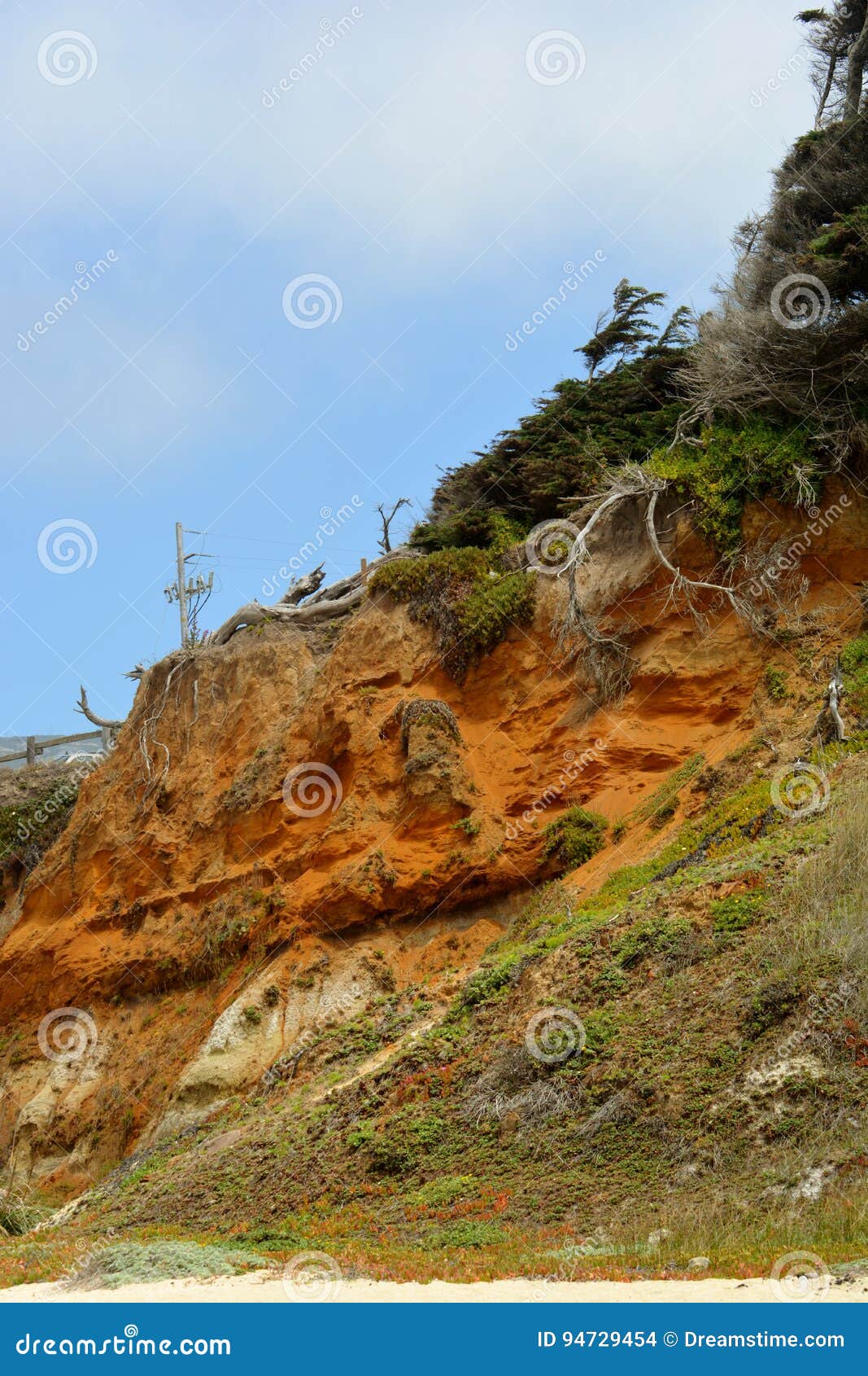 Orange Cliff Side stock photo. Image of california, roots - 94729454