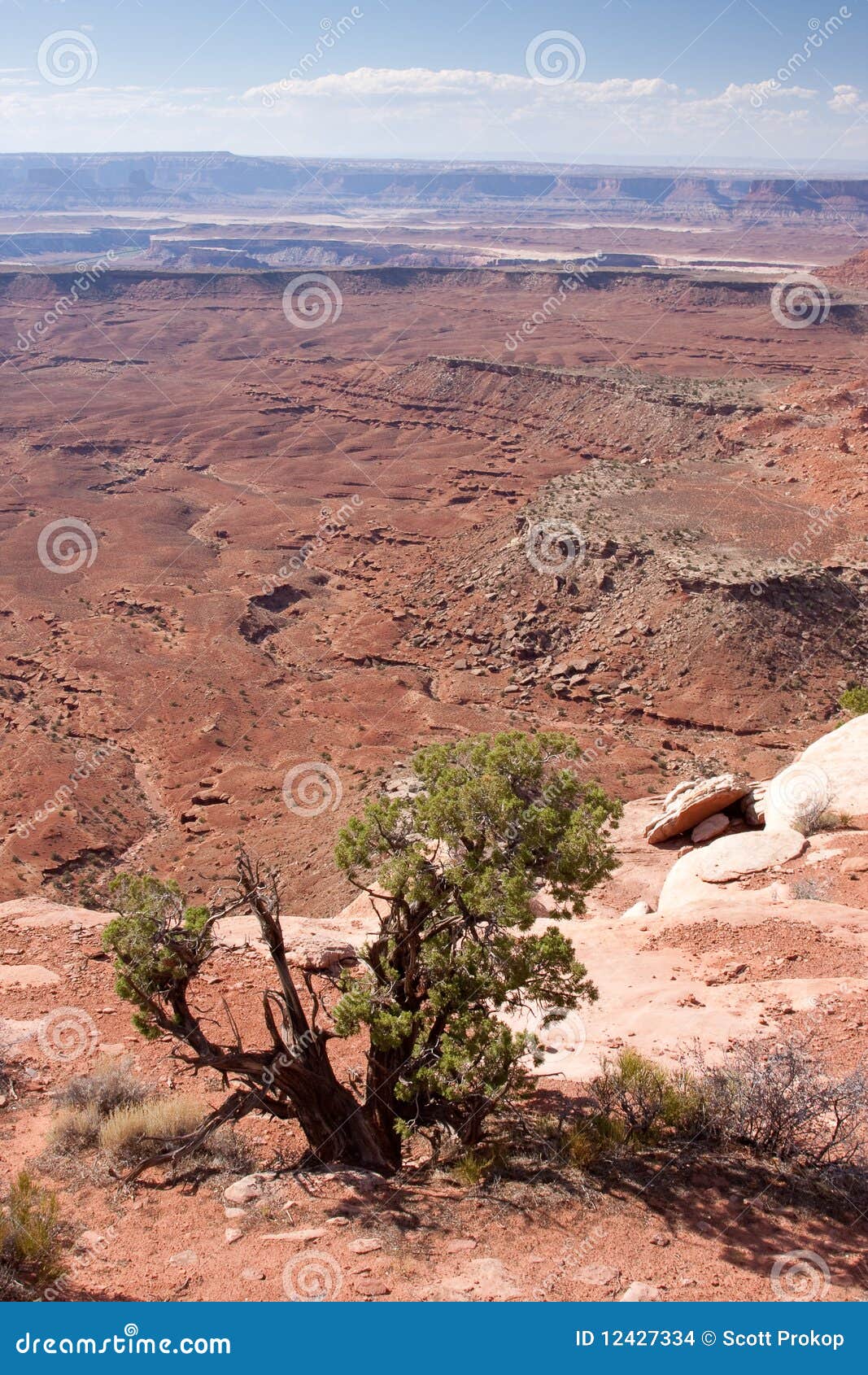 Orange Cliffs Overlook at Canyonlands Stock Photo - Image of utah ...
