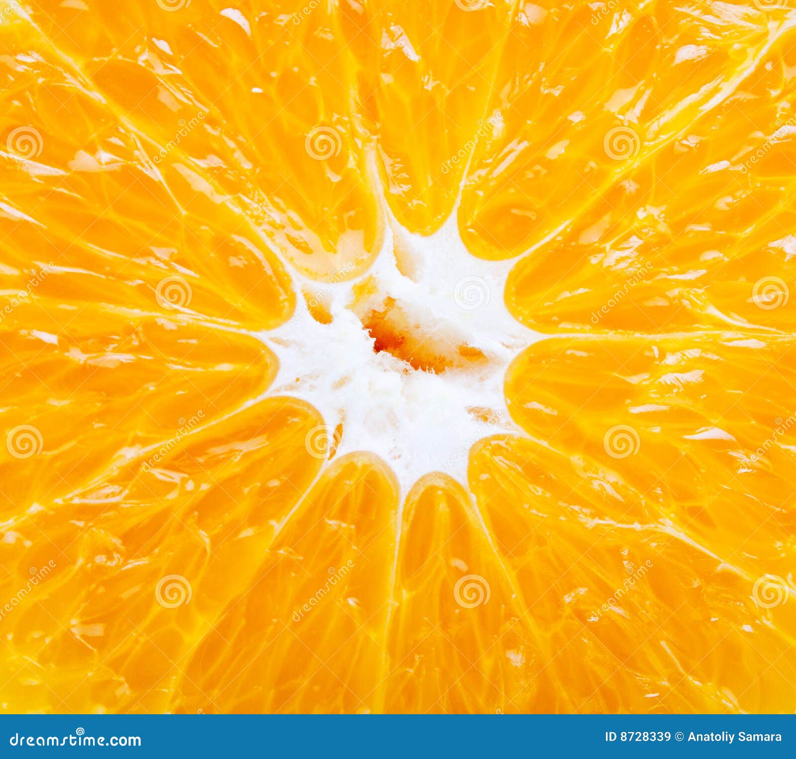 Orange closeup stock image. Image of nourishing, orange - 8728339