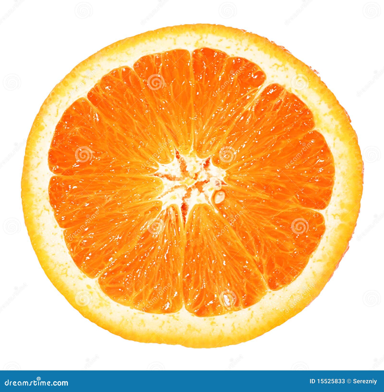 Orange closeup isolated stock image. Image of circle - 15525833