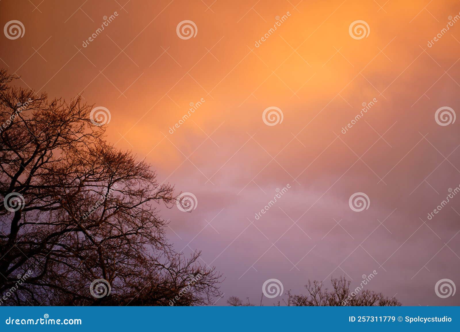 Orange Cloudy Sky at Sunset in a Forest. Stock Image - Image of cloud ...