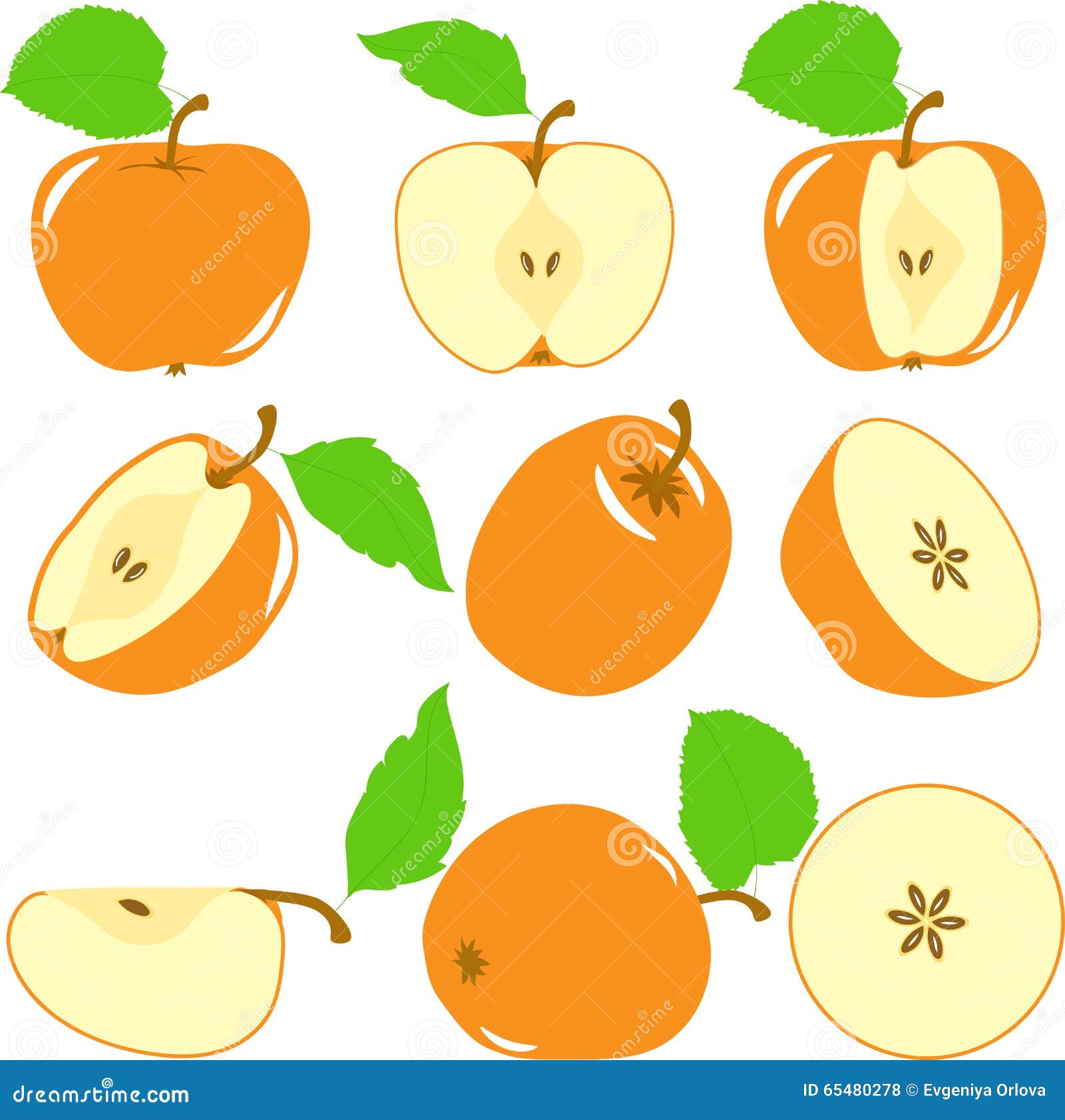 Orange Color Apples Slices, Collection of Illustrations Stock ...