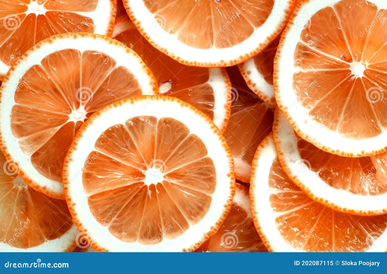 Orange Colored Lemon Slices, Seamless Backgrounds for Artwork, Designs ...