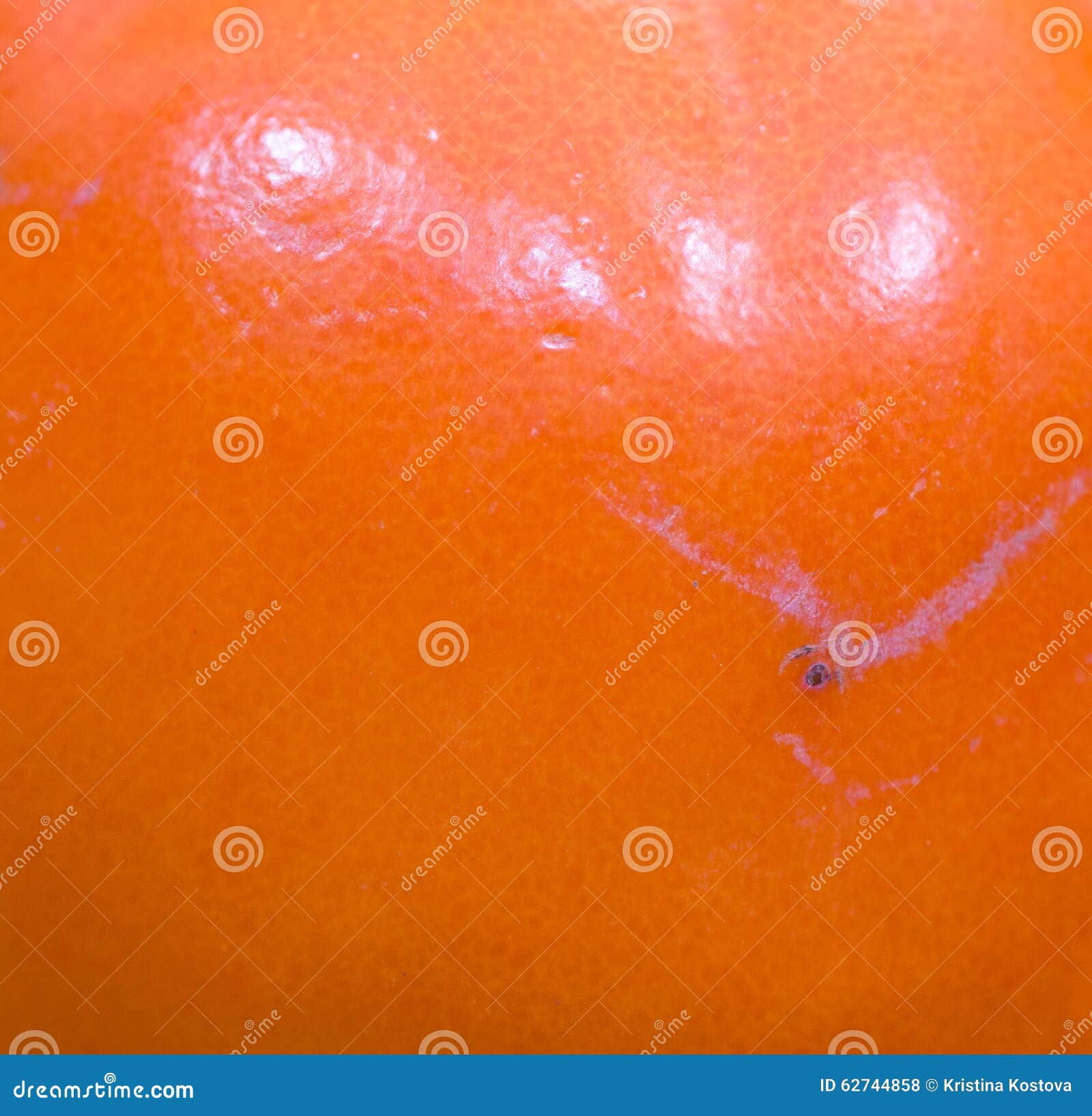 Orange Colored Persimmon Detailed Texture Close Up Stock Photo - Image ...