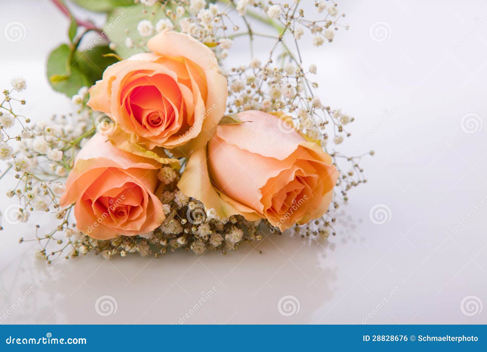 Orange colored roses stock photo. Image of gift, beauty - 28828676