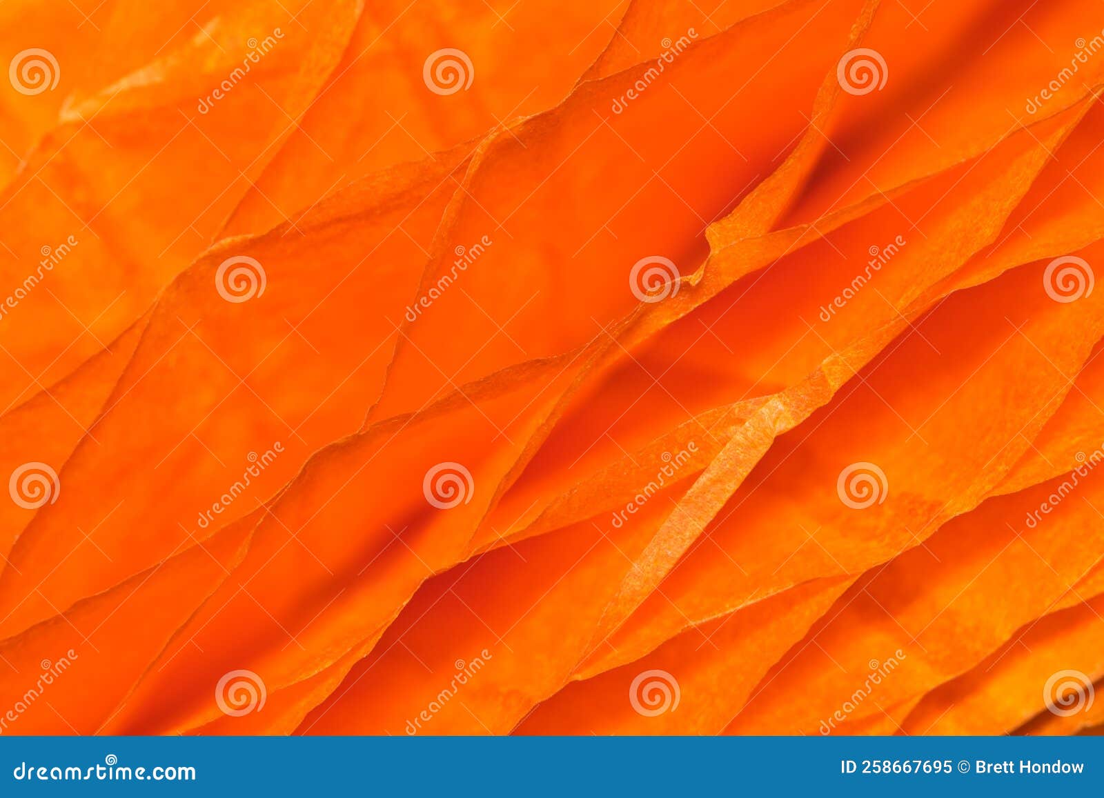 Orange Colored Ruffled Paper Cells Abstract Patterns and Textures ...
