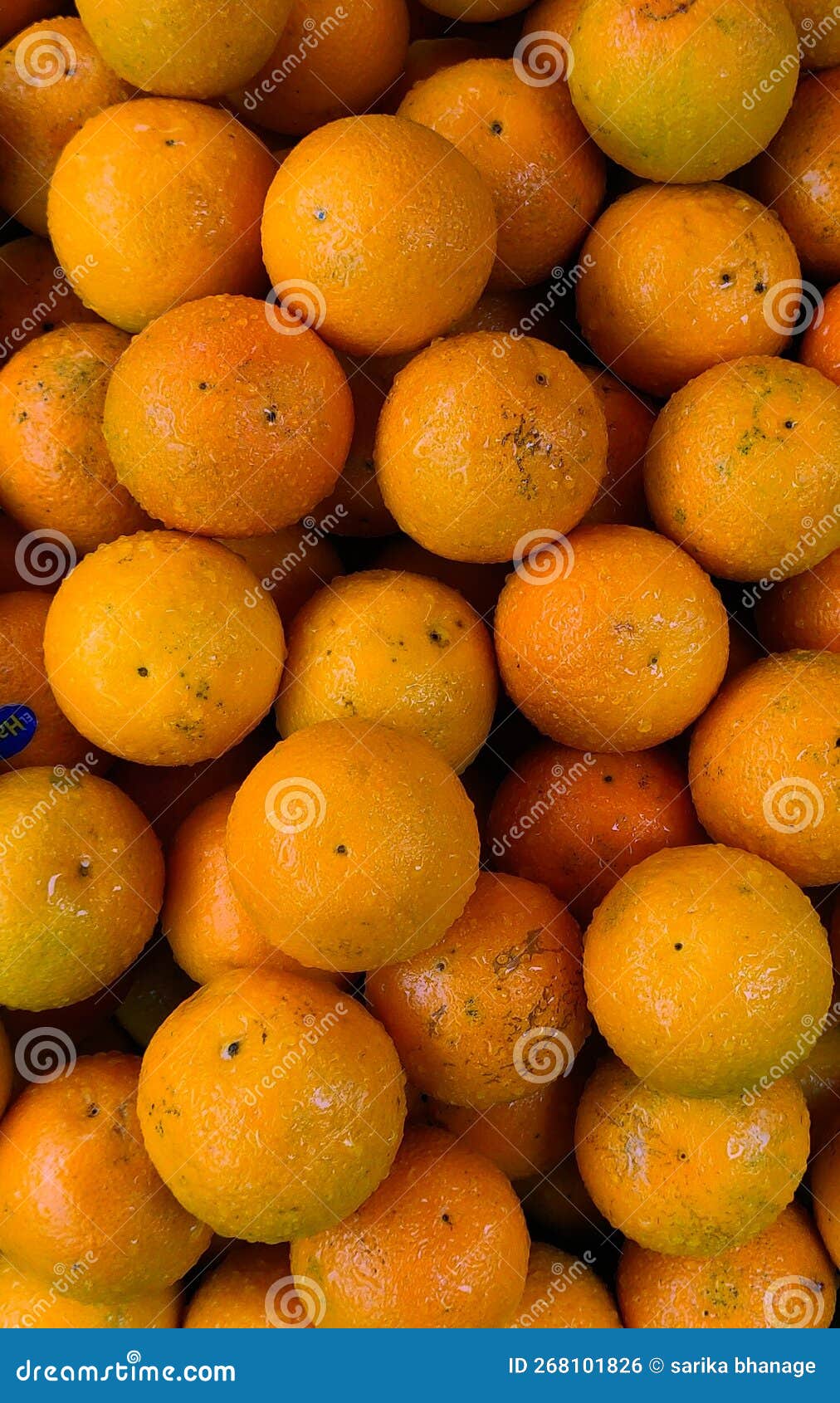 Orange coloured oranges stock photo. Image of vegetable - 268101826