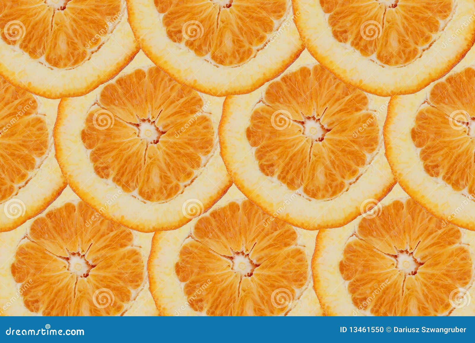 Orange composition stock photo. Image of green, fruit - 13461550