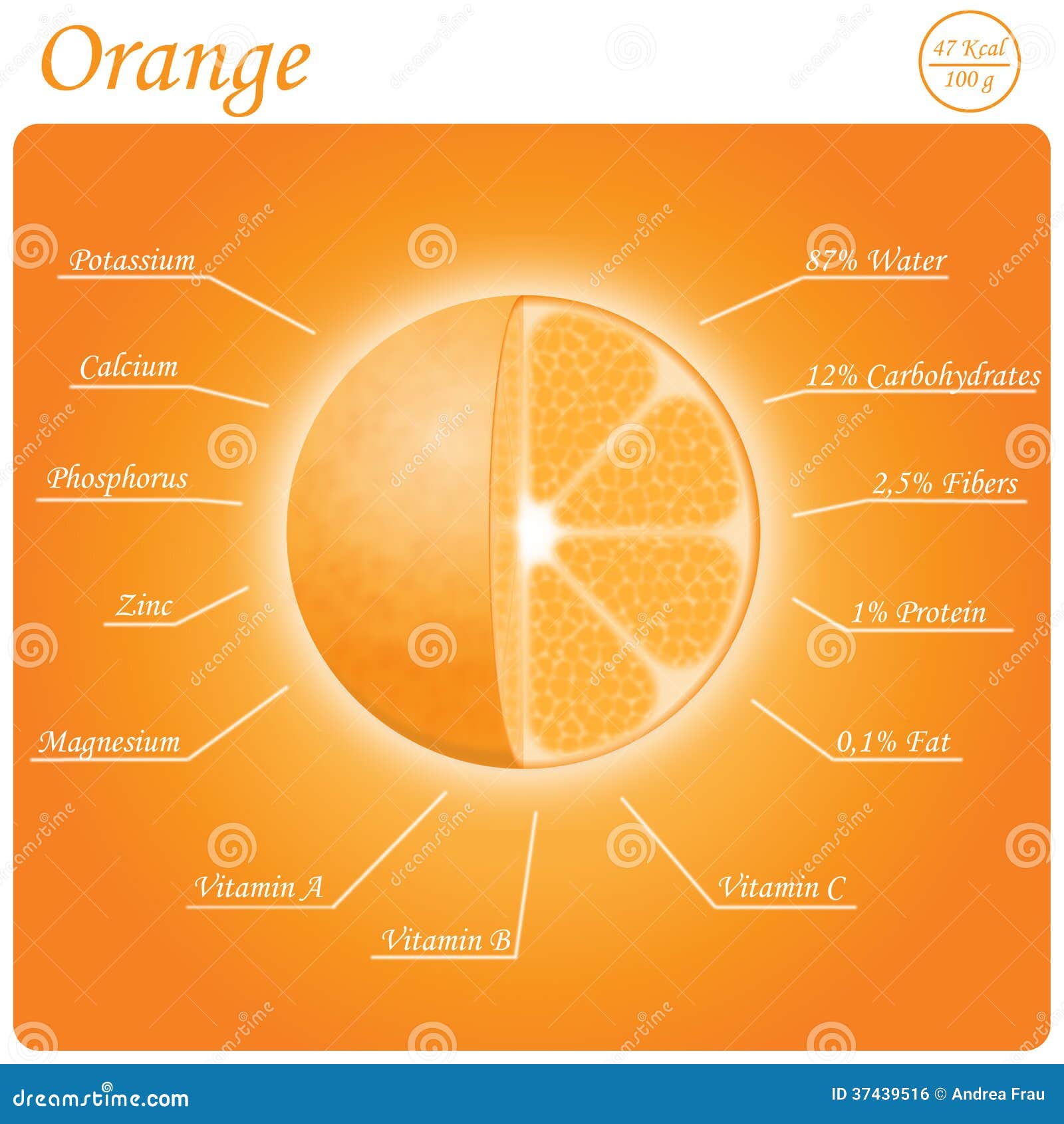 Orange composition stock illustration. Illustration of beautiful - 37439516