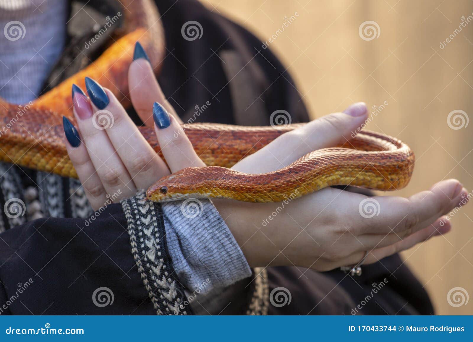 Female Medieval Knight Poses In Armor Stock Photo | CartoonDealer.com ...
